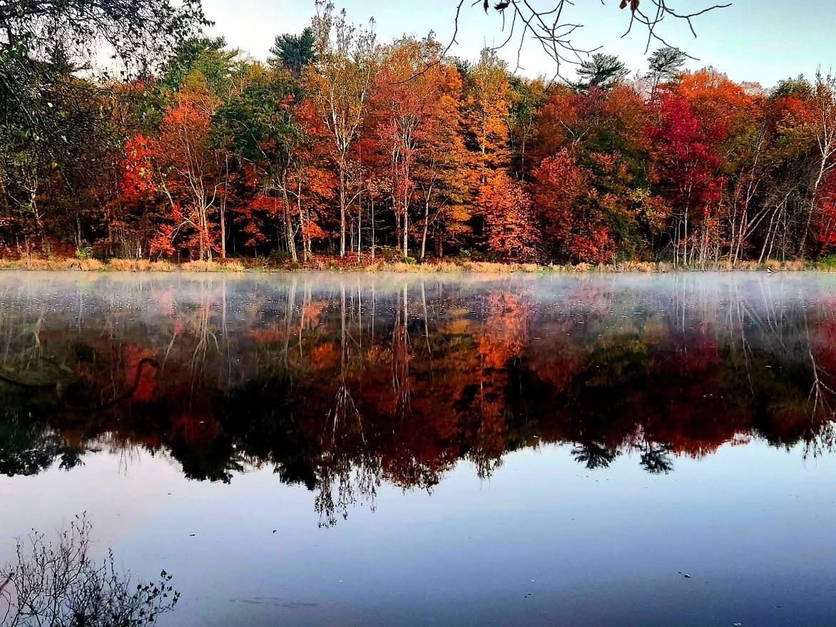 Town of Canton, CT